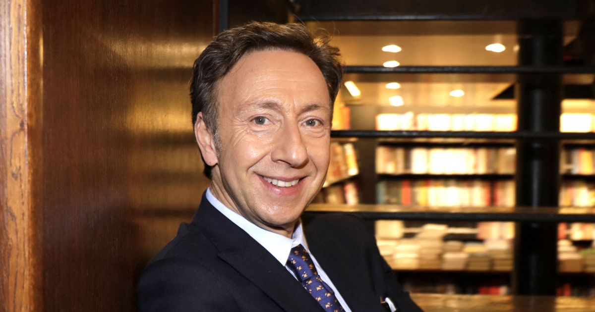 PORTRAIT Stéphane Bern - Purepeople