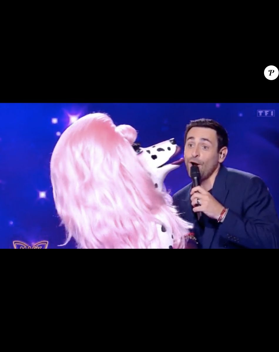 Mask Singer 4 - Le Dalmatien démasqué : son identité avait déjà été ...