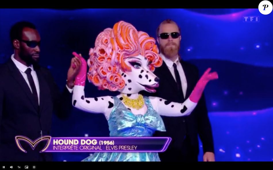 Le Dalmatien dans Mask Singer. - Purepeople