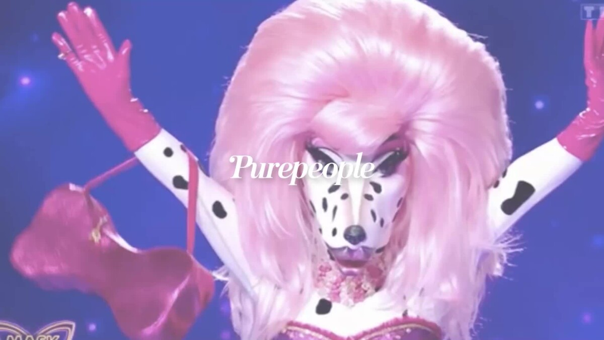 Vidéo : Mask Singer 4 - Le Dalmatien démasqué : son identité avait déjà ...