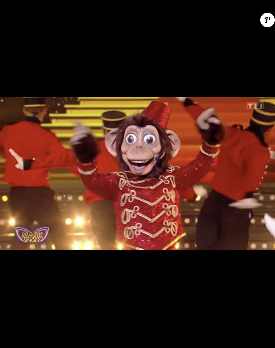 Mask Singer 4 - Le Singe démasqué : les enquêteurs avaient vu juste ...