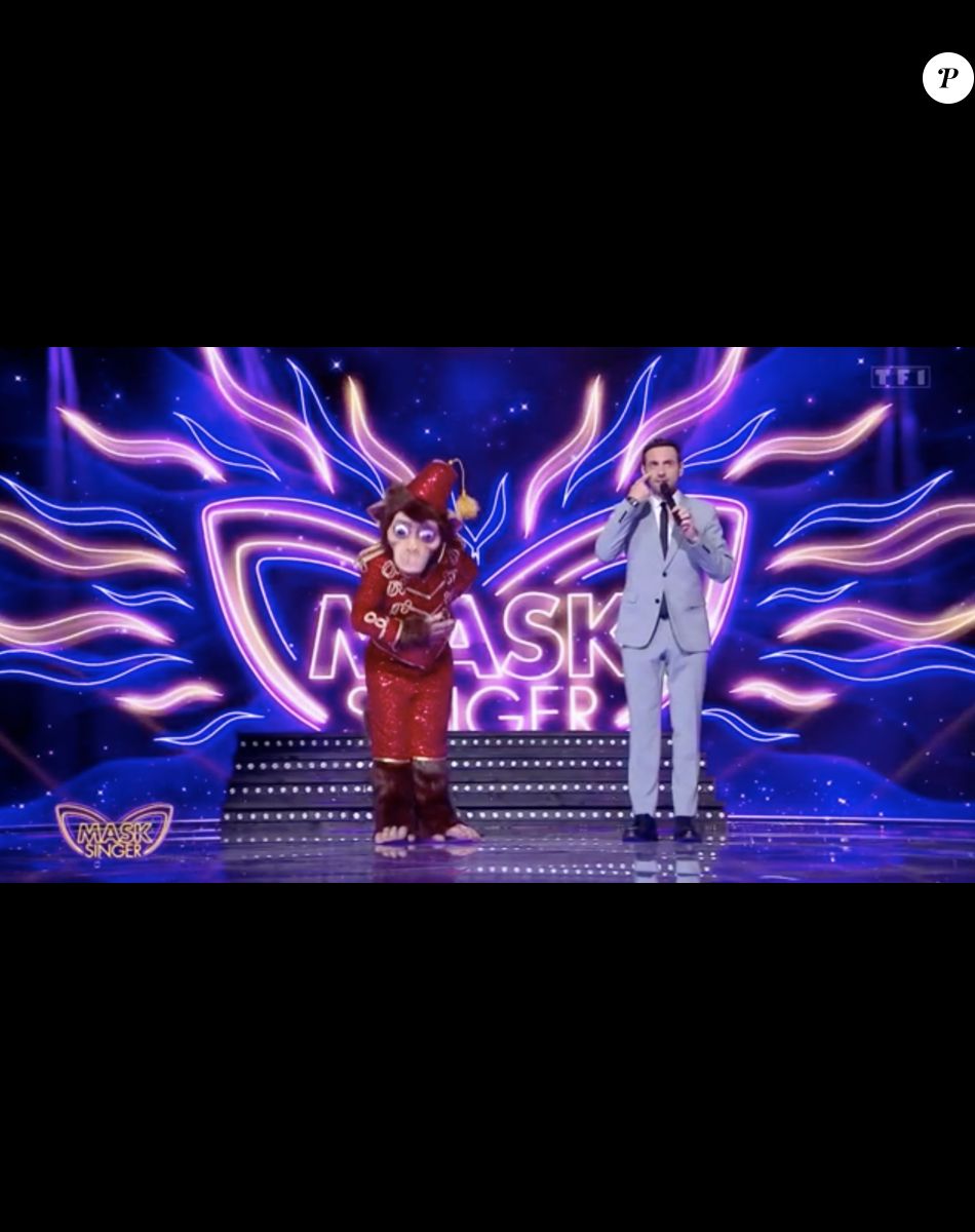 Mask Singer 4 - Le Singe démasqué : les enquêteurs avaient vu juste ...