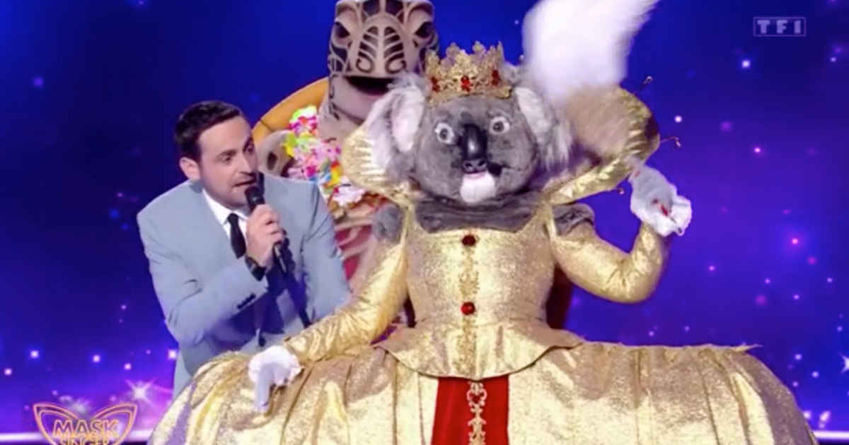 Mask Singer 4 - Le Koala démasqué : les enquêteurs étaient loin du ...