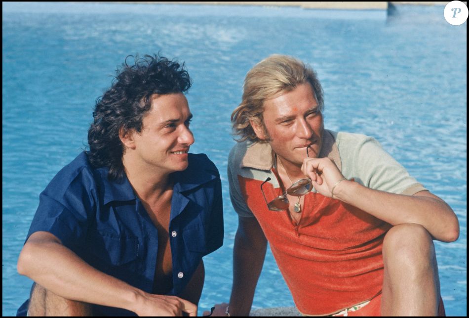 Johnny Hallyday et Michel Sardou. - Purepeople