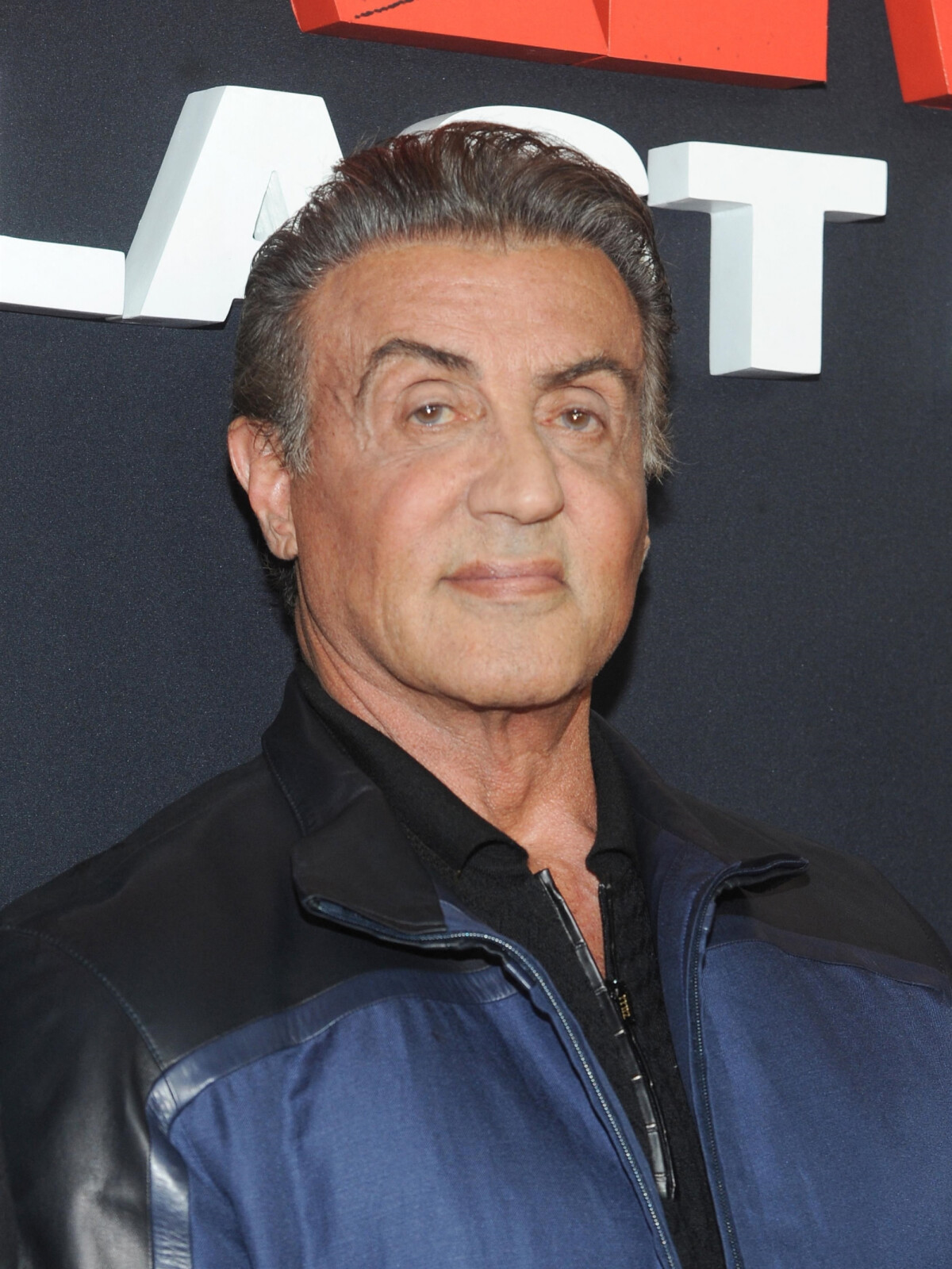 Photo : Sylvester Stallone à la première de "Rambo: Last Blood" au AMC ...