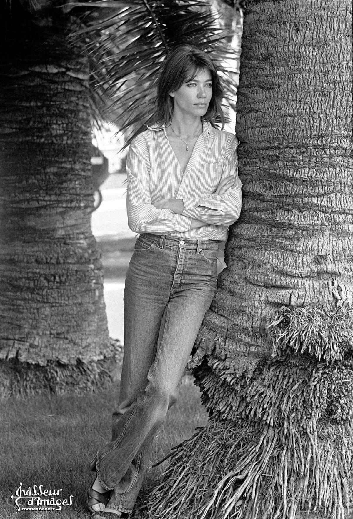Photo : Françoise Hardy - Illustration de l'exposition "De Bebel à ...