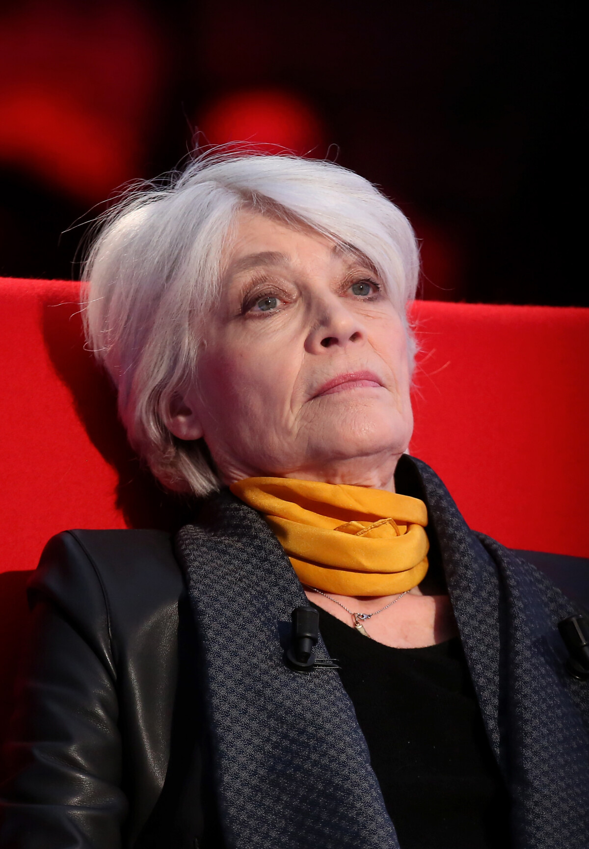 Photo : Françoise Hardy ne mâche pas ses mots Exclusif - Enregistrement ...