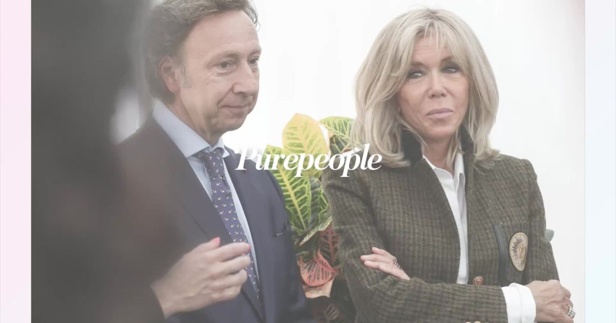 Stéphane Bern in debt beyond his capacity: why he must sell his house ...