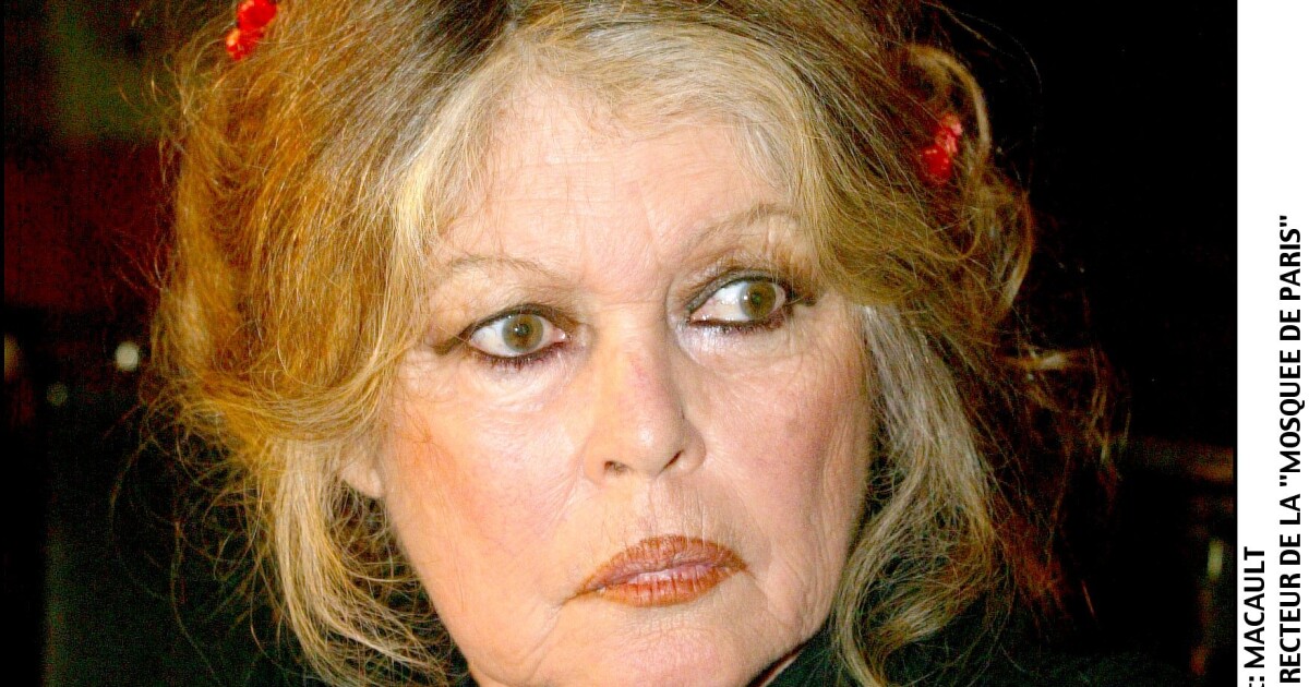Brigitte Bardot prise en charge par les pompiers : les causes de son ...