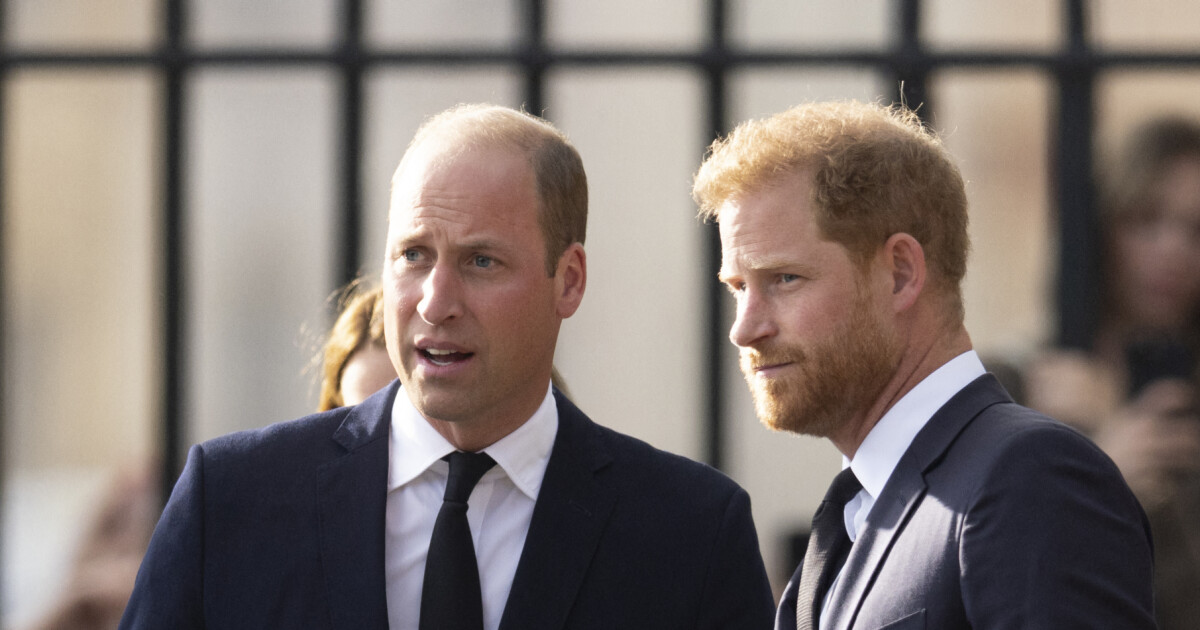 Princes William et Harry : Qui est Louis, ce cousin inconnu, beau gosse ...