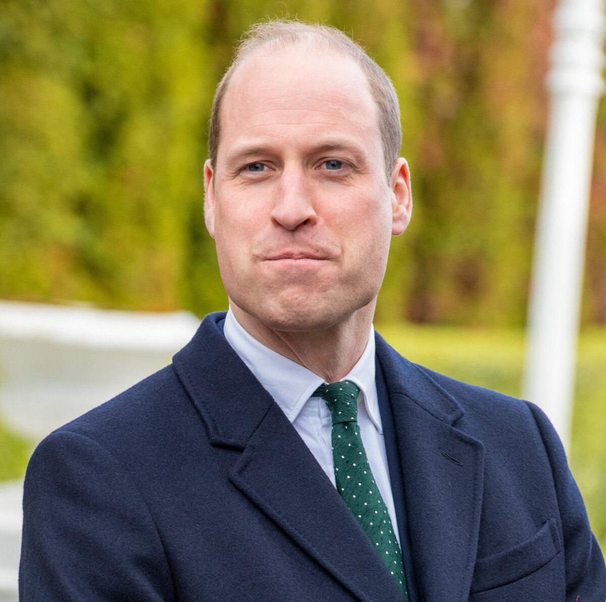 Photo : Archives : Prince William - Ode (Purepeople)