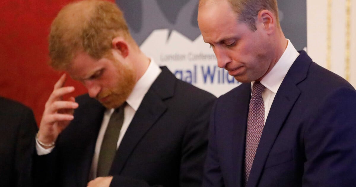 Harry et William n'étaient pas les petits-enfants préférés d'Elizabeth ...
