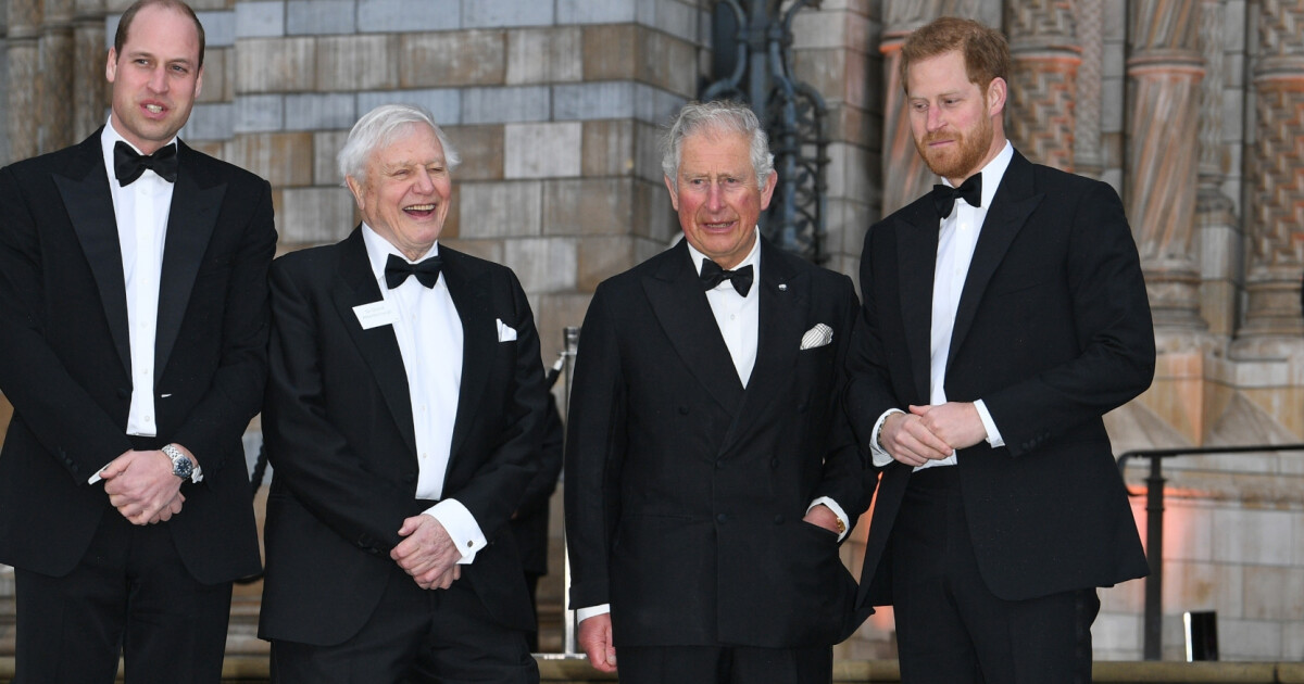 Une question de survie ? Les contacts entre Charles III et le prince Harry sont surveillés par ...