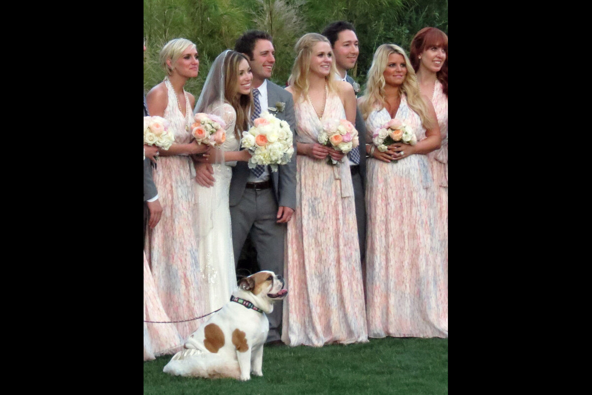 Photo : Photo collective lors du mariage de Lauren, l'assistante de ...