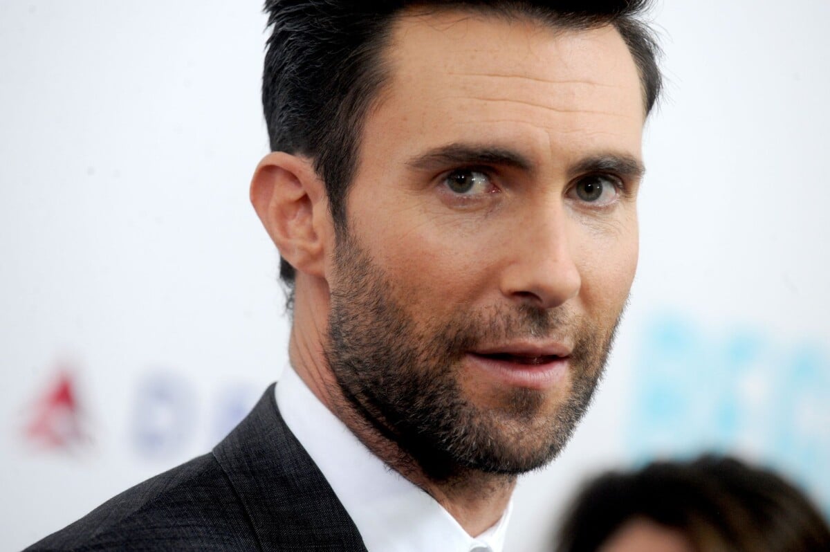 Photo : Adam Levine lors de la première du film New York Melody ("Begin ...
