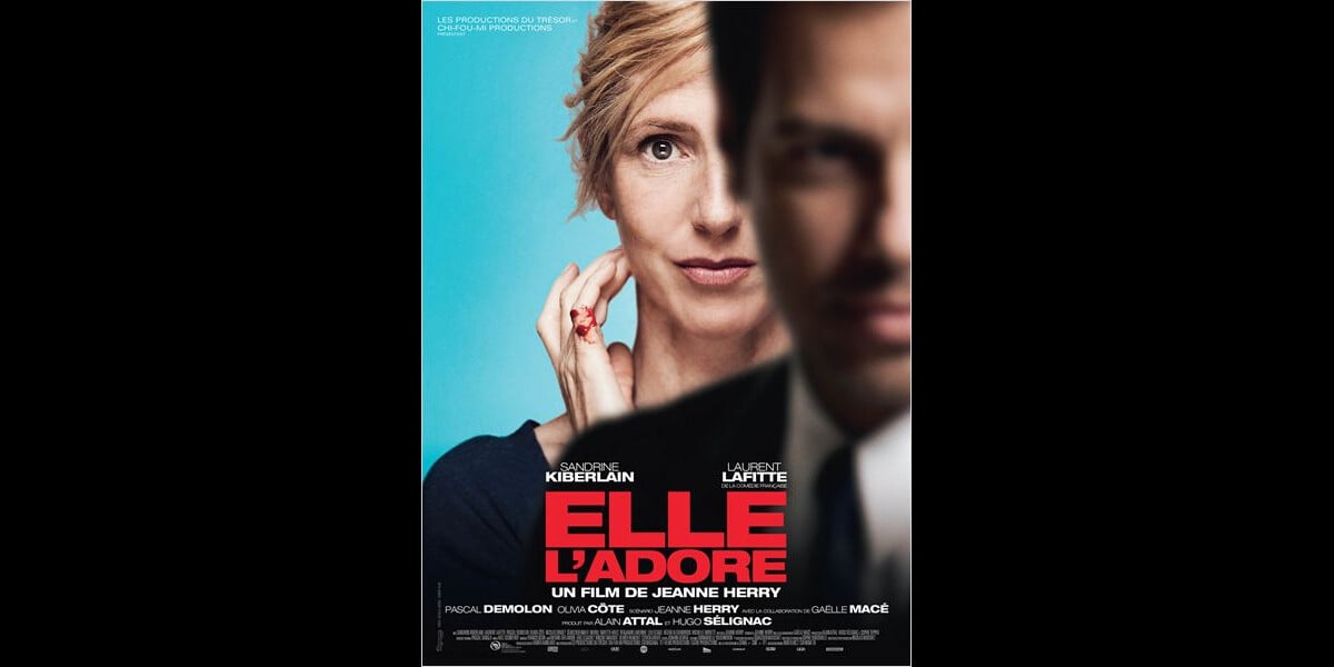 Photo : Affiche du film Elle l'adore - Purepeople