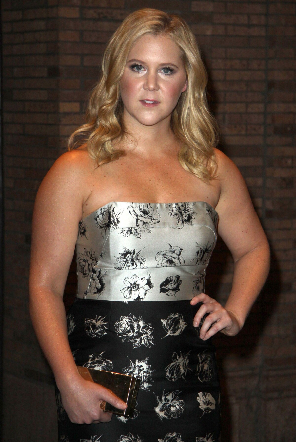 Photo : Amy Schumer à la soirée "Glamour 2014 Women Of The Year Awards ...
