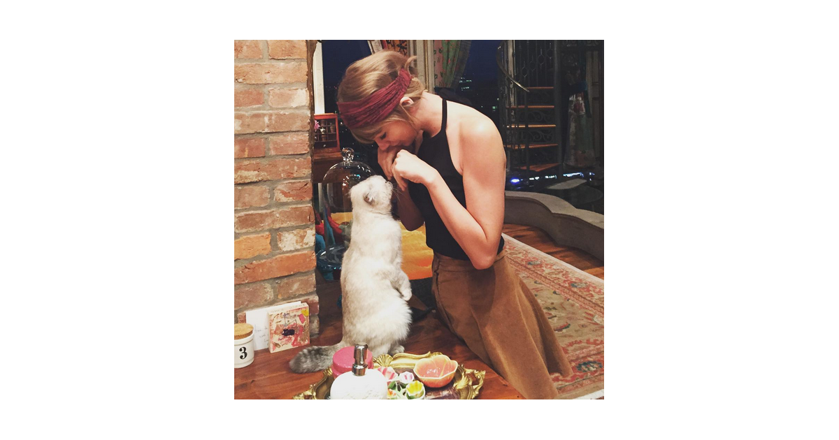 Taylor Swift et son chat / photo postée sur le compte Instagram de la ...