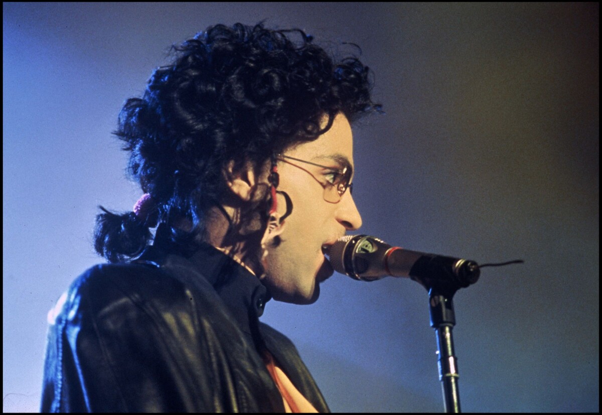 Photo : LE CHANTEUR PRINCE SUR SCENE, EN CONCERT A VIENNE EN AUTRICHE ...
