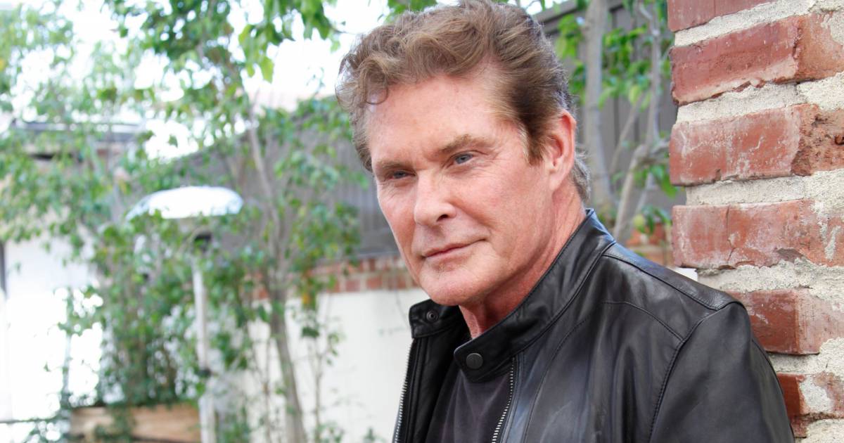 David Hasselhoff, en conférence de presse pour son reality show Hoff ...
