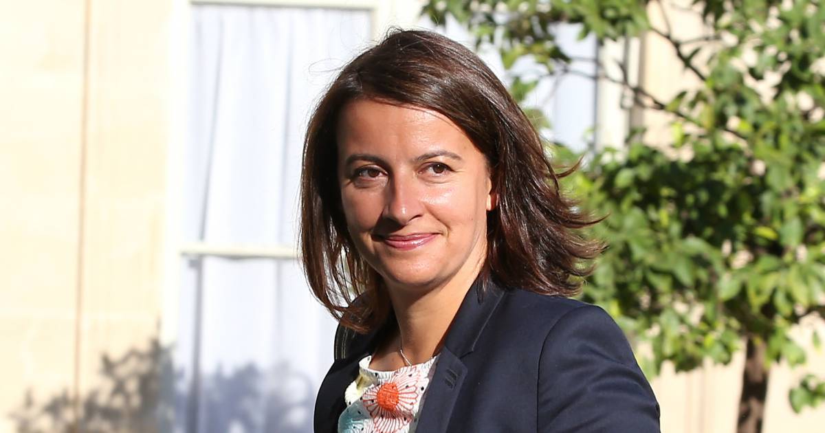 Cécile Duflot Lancement De La Conférence Des Nations Unis Sur Les