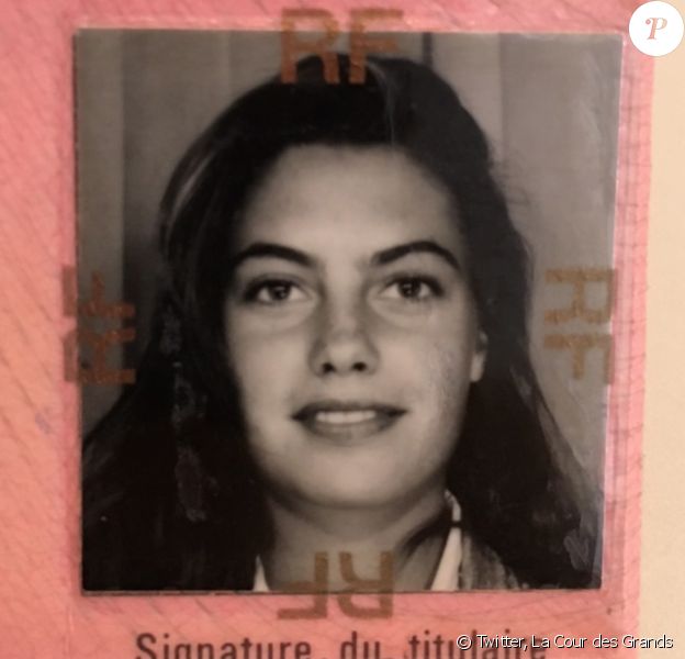 Alessandra Sublet, Denis Brogniart... La photo de leur permis de ...