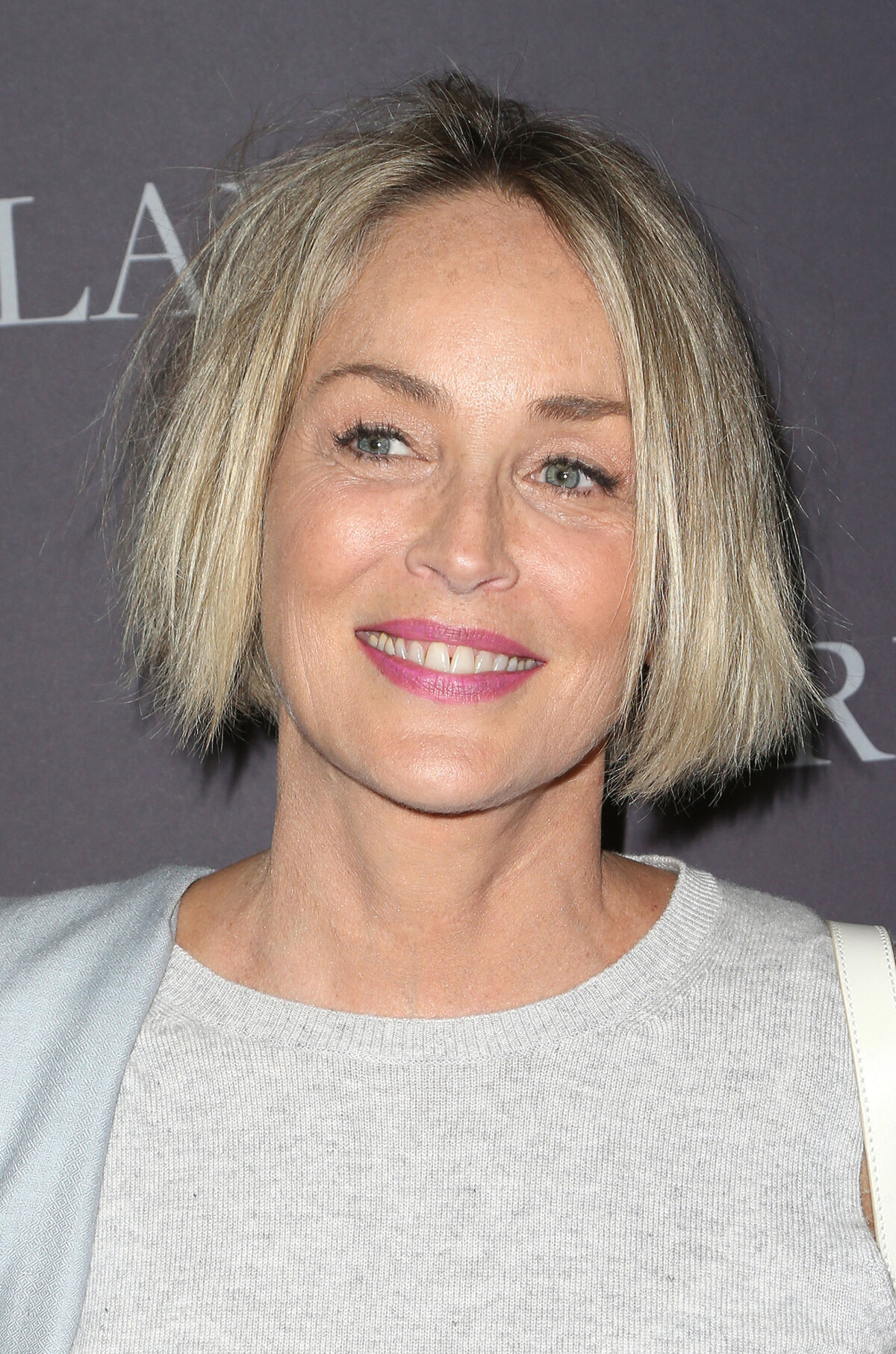 Photo : Sharon Stone à la première de ''Grey Lady'' à The Landmark à ...