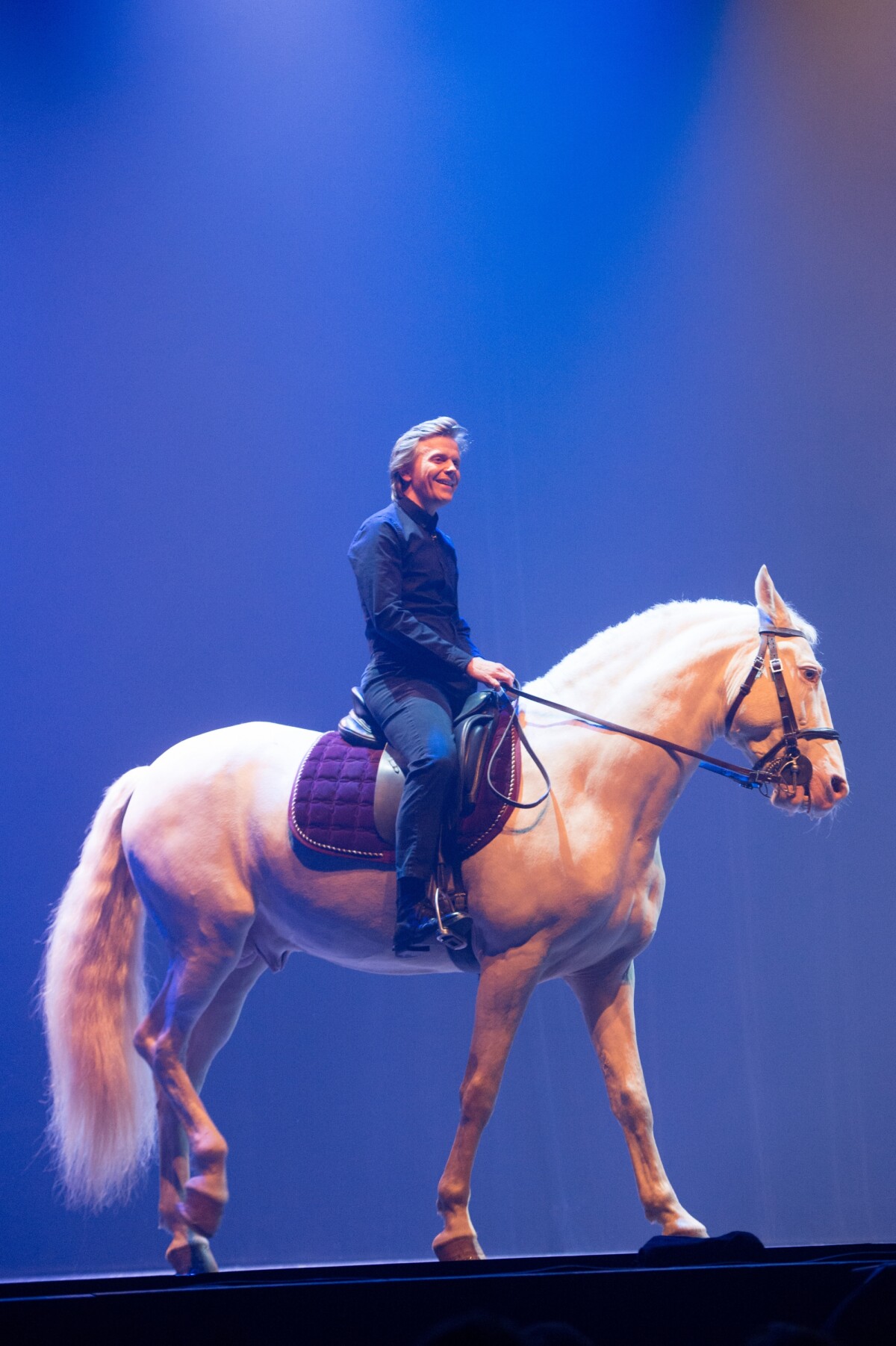 Photo : Semi-Exclusif - Alex Lutz sur la scène de l'Olympia lors de la ...