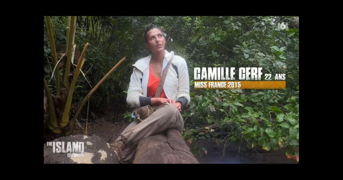 Camille Cerf (The Island ) au bord des larmes : Son bel hommage à son ...