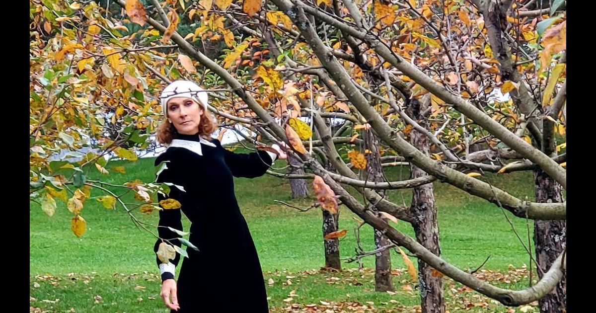 Céline Dion sur Instagram, novembre 2020. - Purepeople