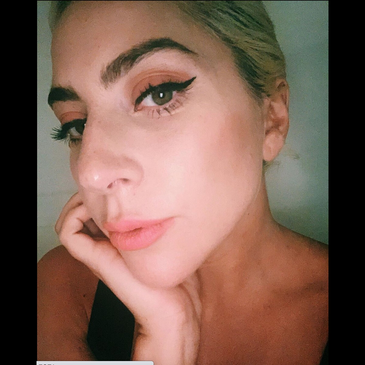Photo : Lady Gaga sur Instagram. - Purepeople