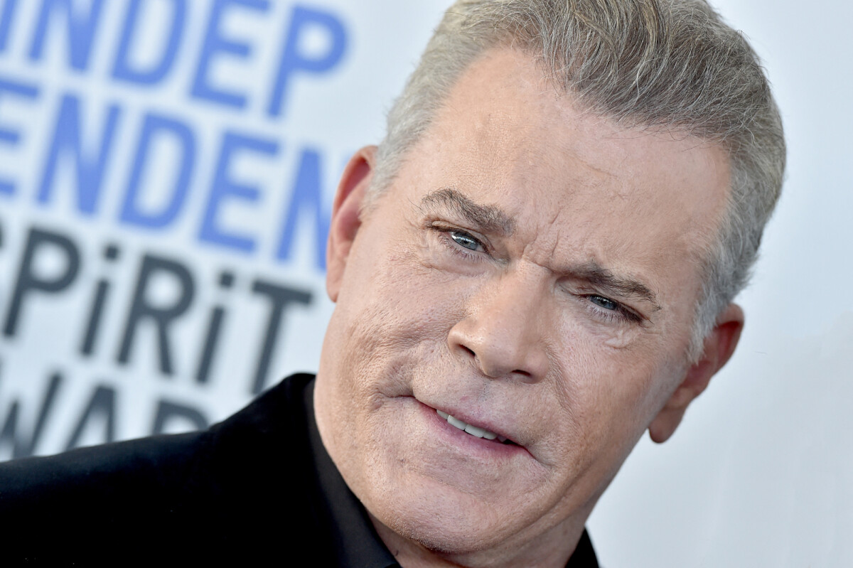 Photo : Ray Liotta au photocall de la soirée de la 35ème édition des ...