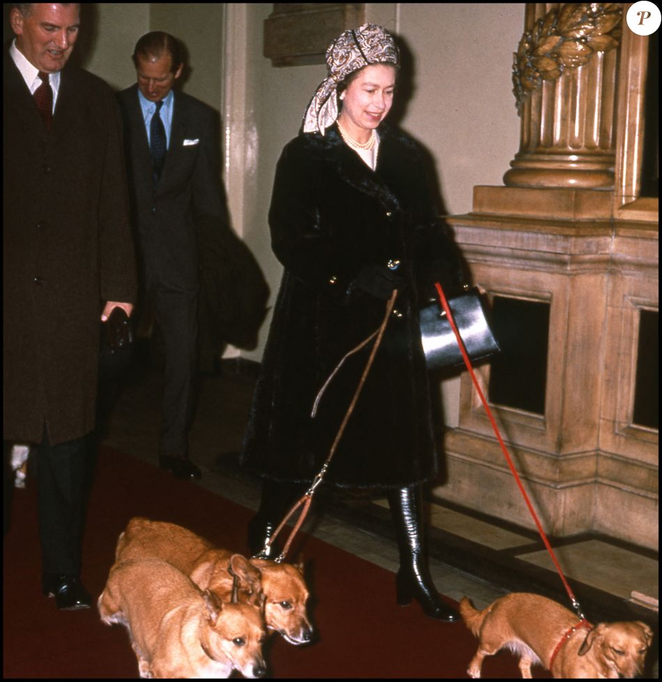 La reine Elizabeth II avec ses chiens à Sandringham. - Purepeople