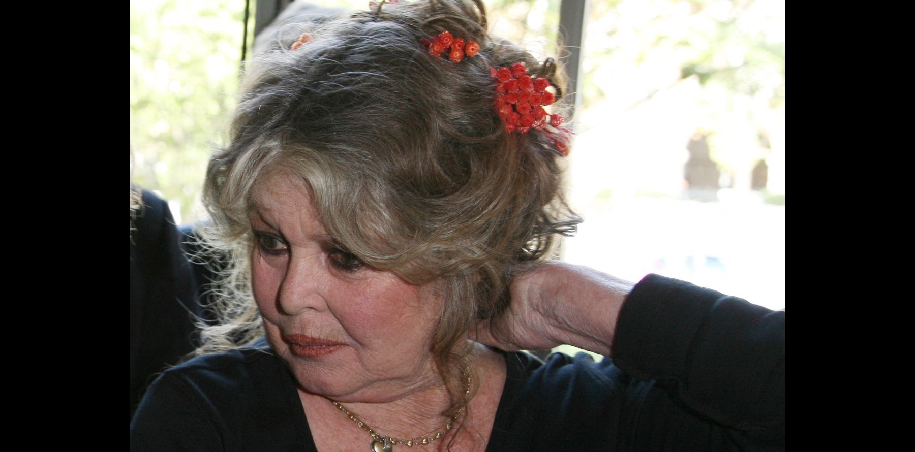 "Envie de pleurer" : Brigitte Bardot en pleine déprime ? Rares ...