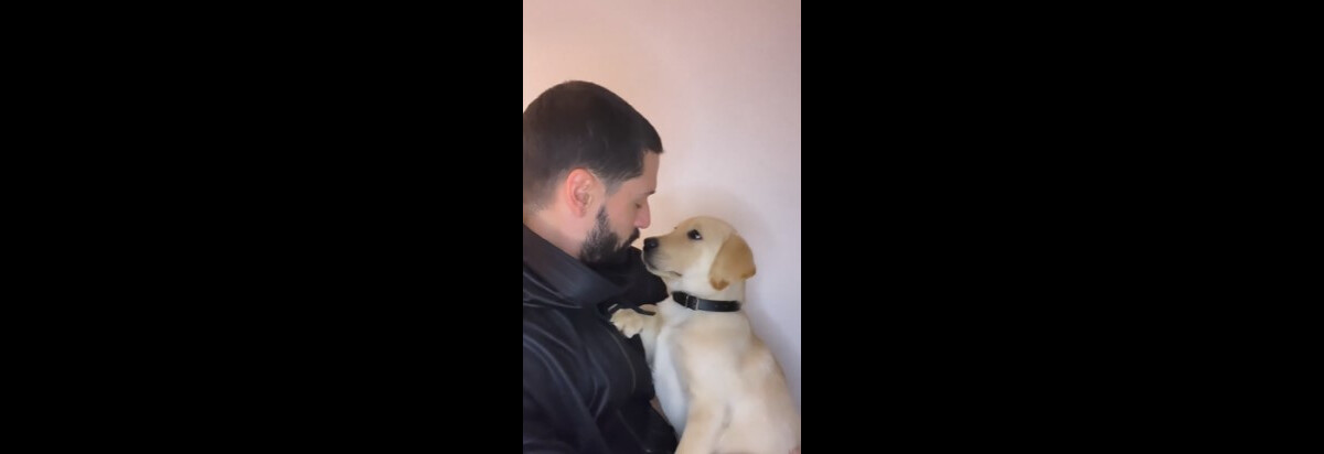Photo : Hugo Manos et son chien Tigane sur Instagram. Le 9 février 2023 ...