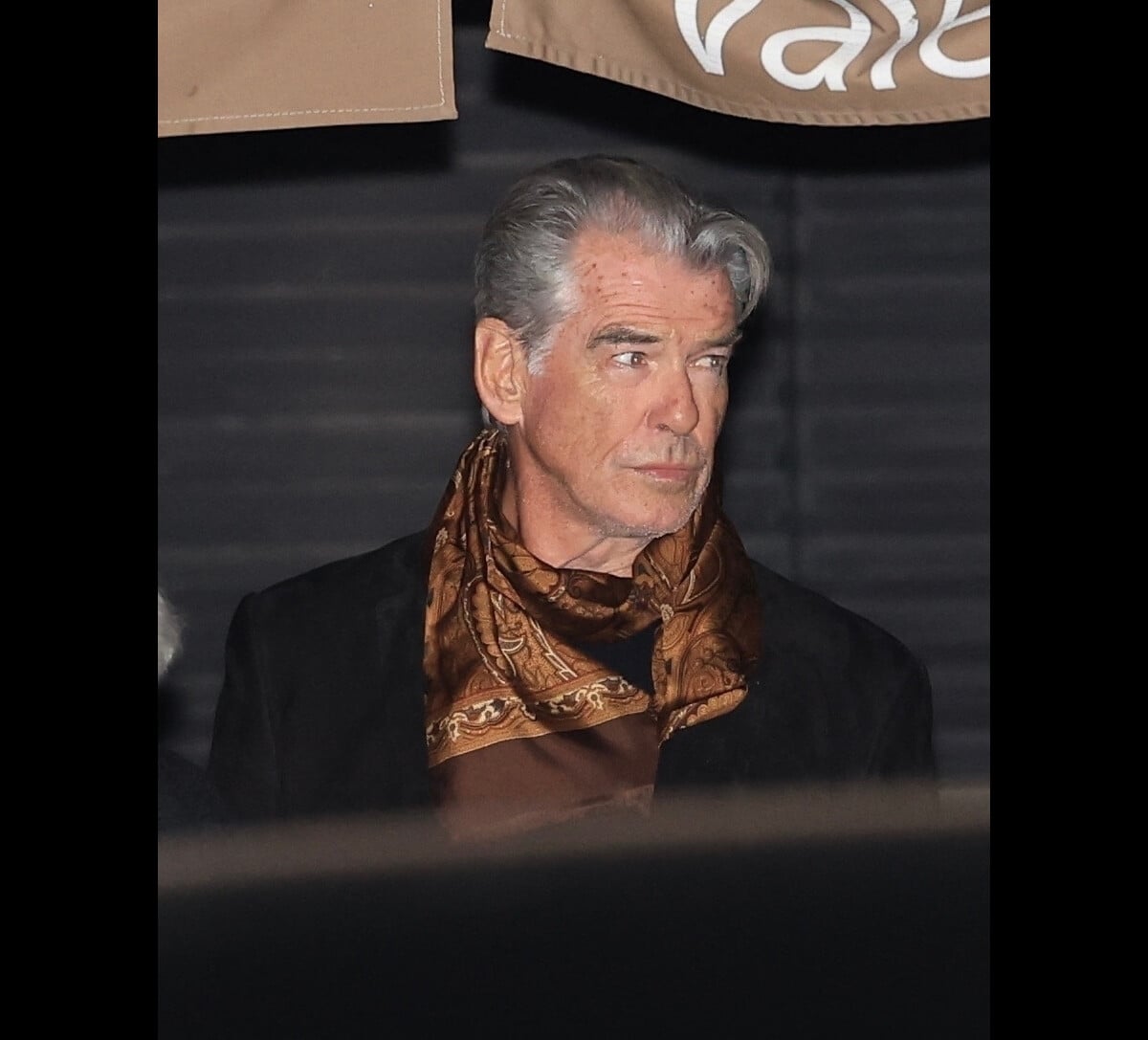 Photo : Pierce Brosnan inquiété par la justice américaine ? Pierce ...