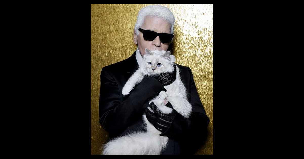 Karl Lagerfeld obligé de changer toute sa déco pour éviter un accident ...
