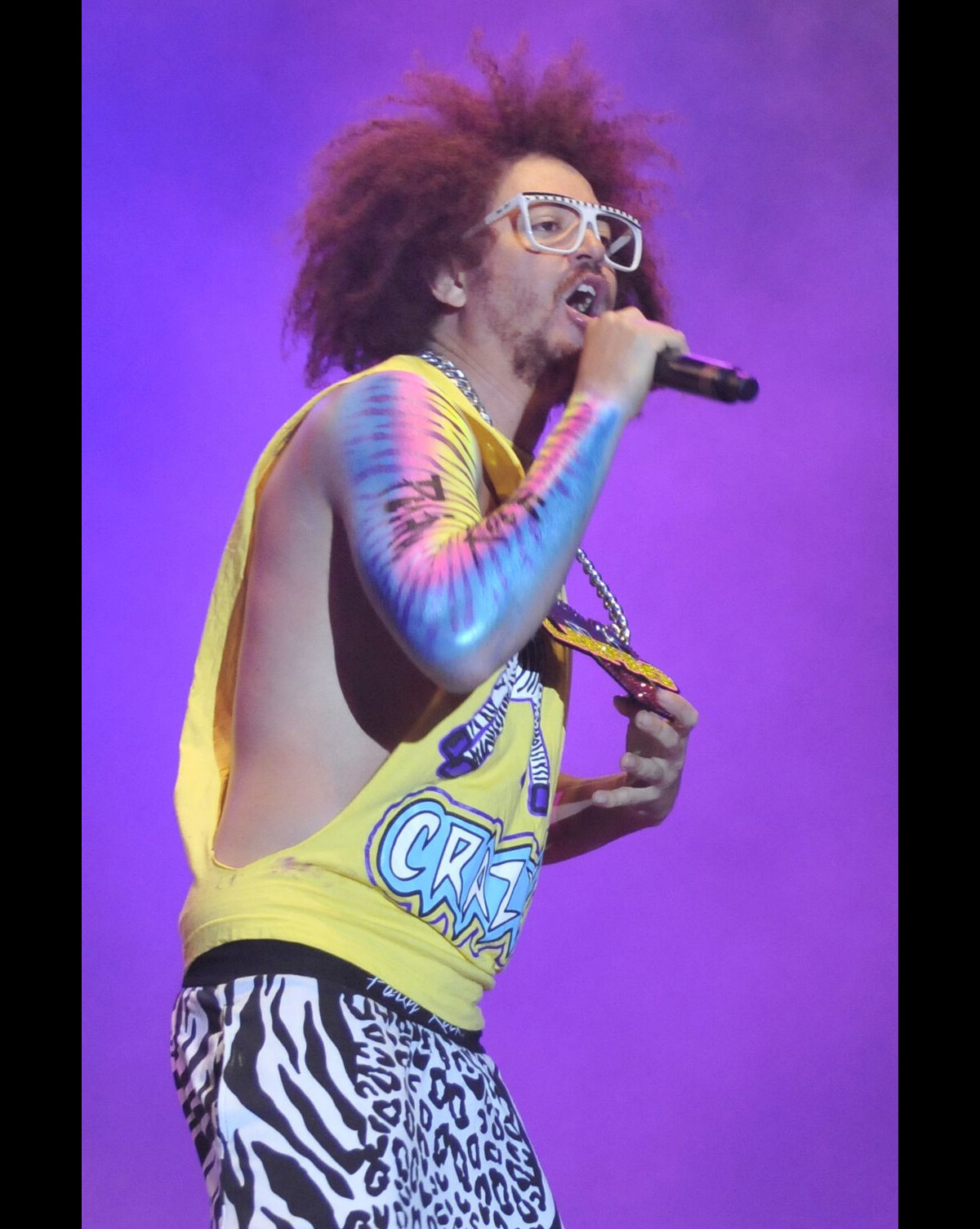 Photo : Redfoo de LMFAO sur la scène de Hylands Park à Chelmsford, le ...