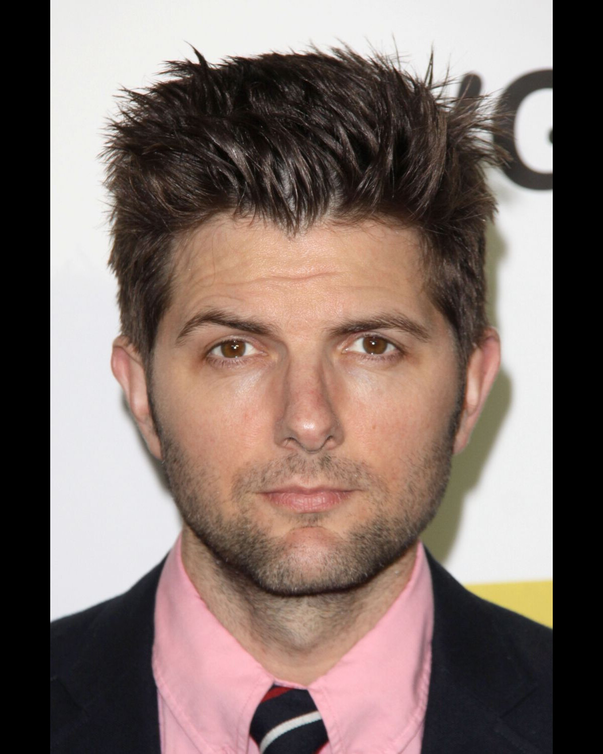 Vidéo : Adam Scott aux Spike TV "Video Game Awards". Culver City, Los ...