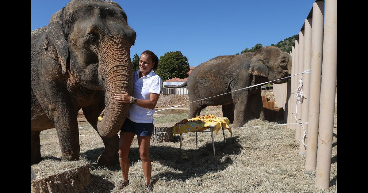 Stéphanie de Monaco : Aux petits soins de Baby et Nepal, le bonheur à ...