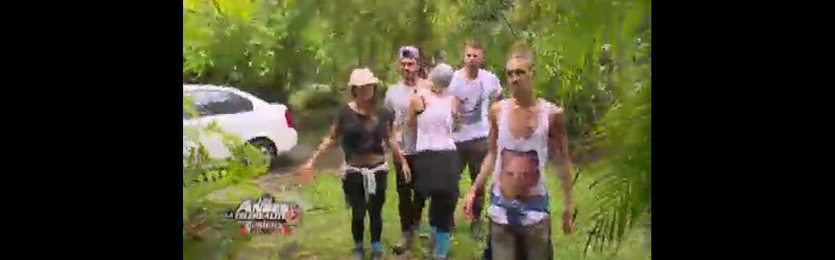 Photo : Les Anges dans la jungle dans Les Anges de la télé-réalité 6 ...