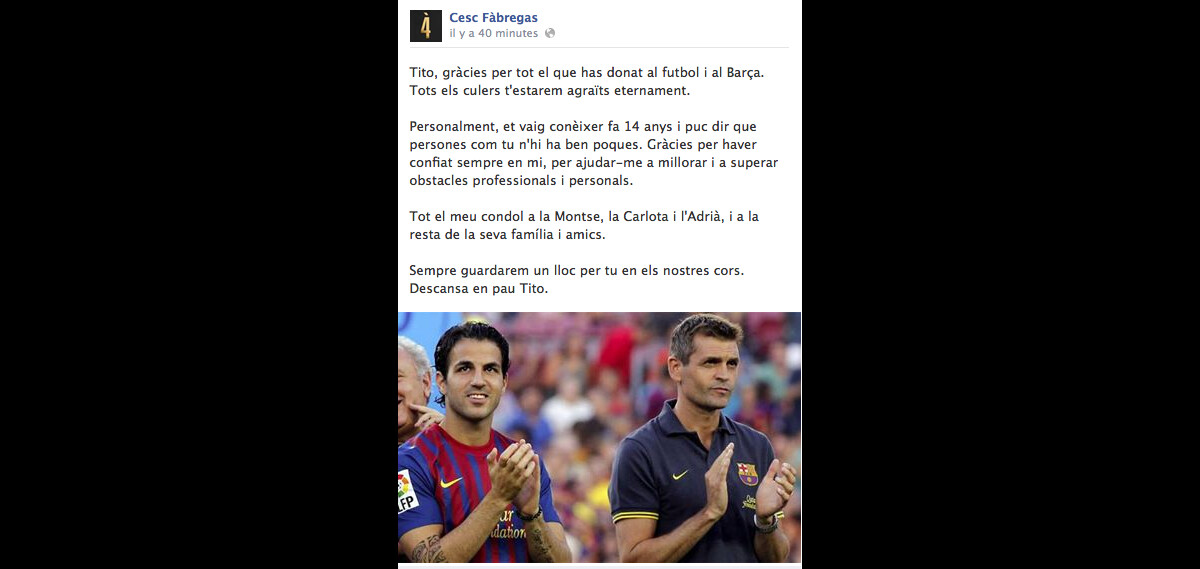 Photo : Cesc Fabregas, joueur emblématique du Barça, a exprimé sur ...