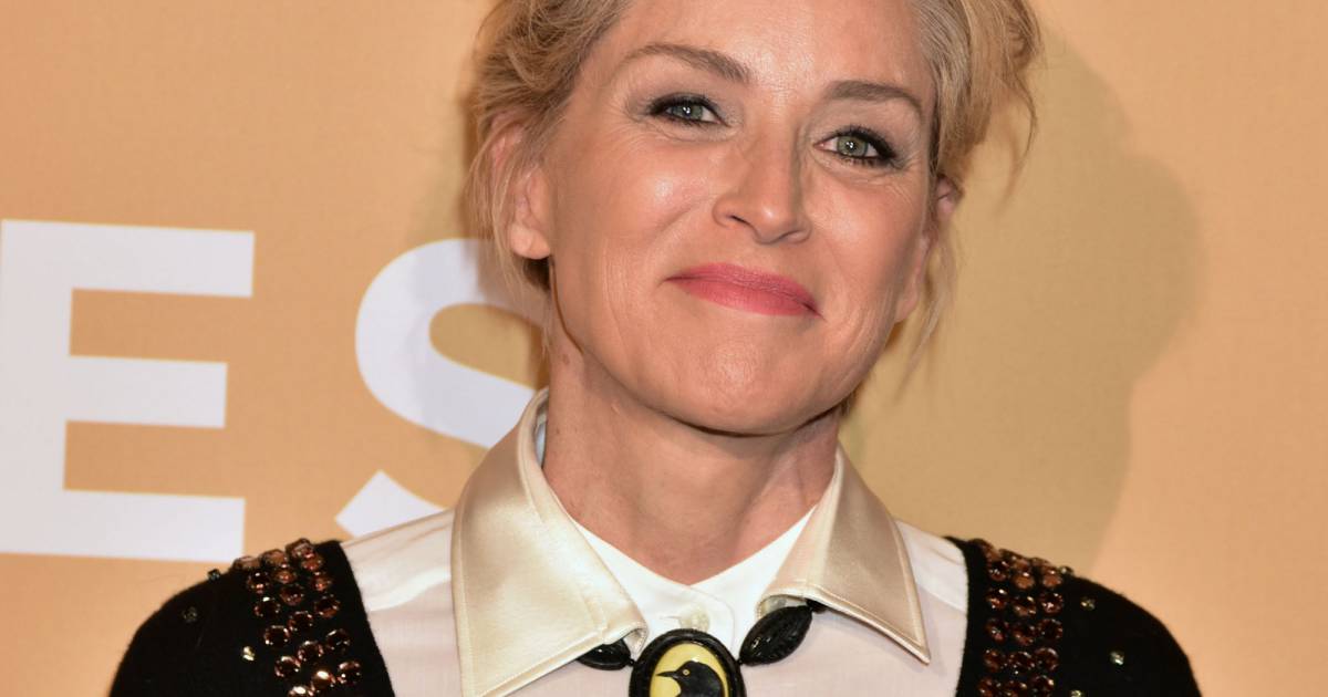 Sharon Stone à la soirée CNN Heroes 2015 à New York, le 17 novembre ...