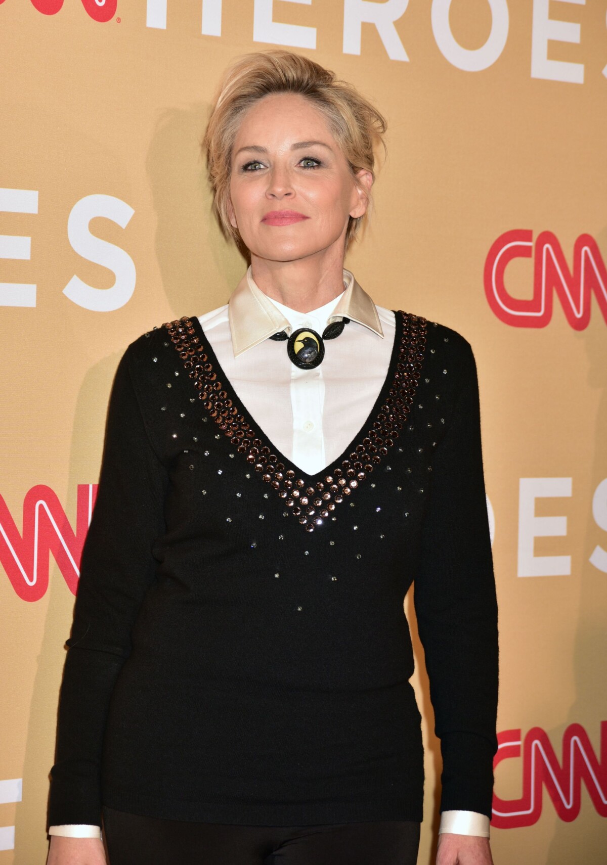 Photo : Sharon Stone à la soirée CNN Heroes, le 17/11/2015 - New York ...
