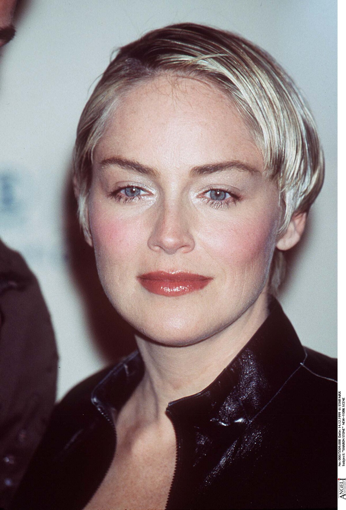 Photo : Sharon Stone le 14/12/1999 - New York - Purepeople