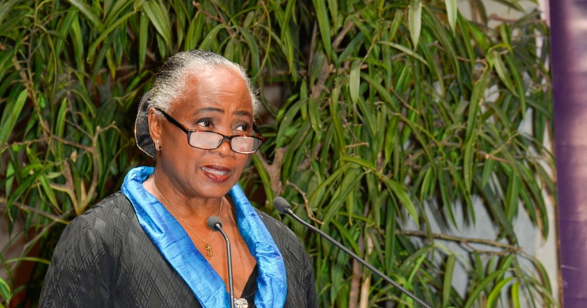 Exclusif - Barbara Hendricks à la soirée des Distinctions de la FIDH ...