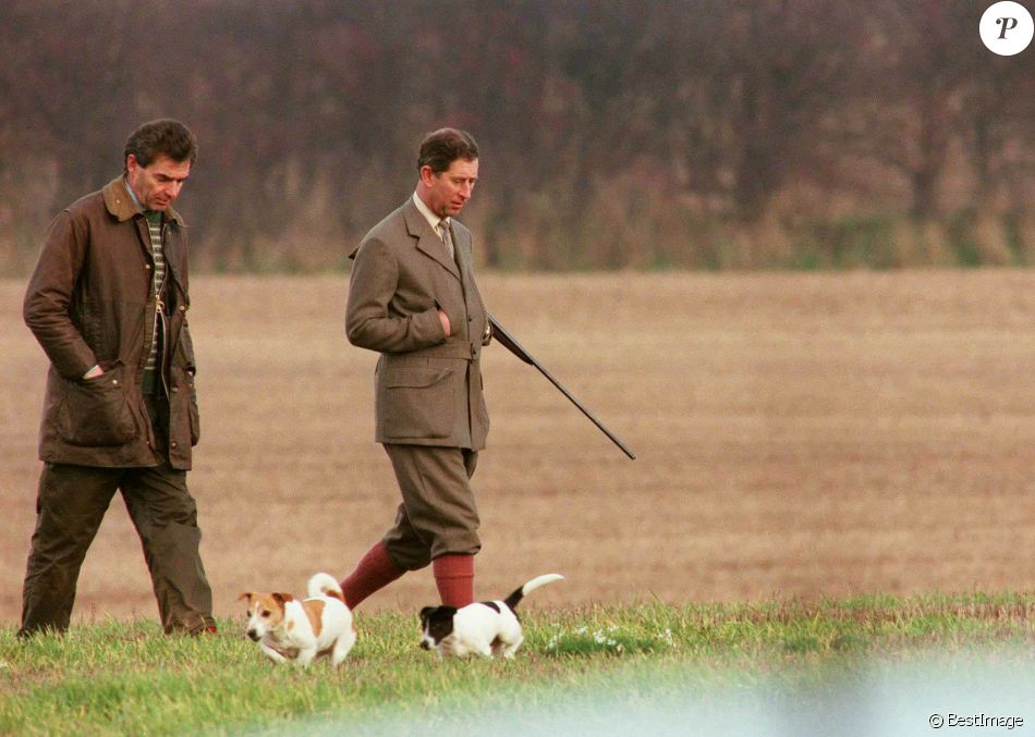 Le prince Charles en pleine partie de chasse à Sandringham, en 1995 ...