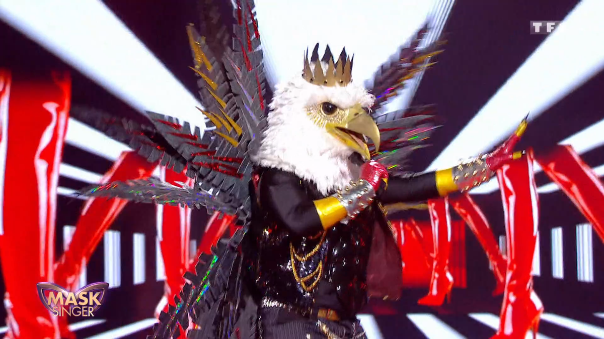 Photo : Screenshot de la performance de l'aigle dans l'émission "Mask ...