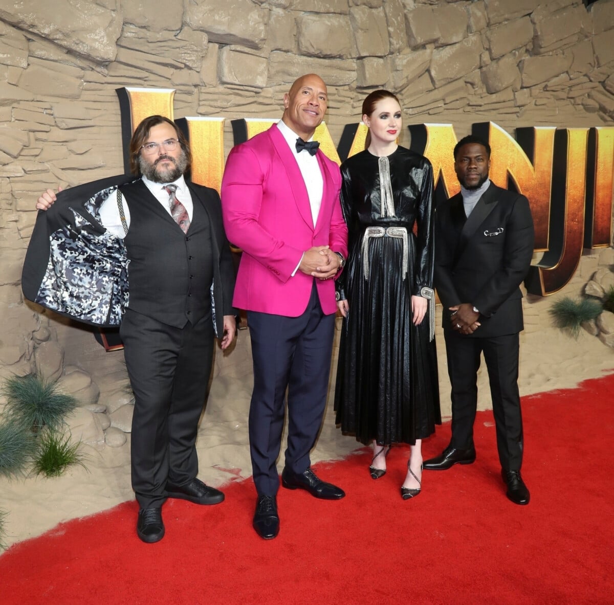 Photo : Jack Black, Dwayne 'The Rock' Johnson, Karen Gillan, Kevin Hart ...