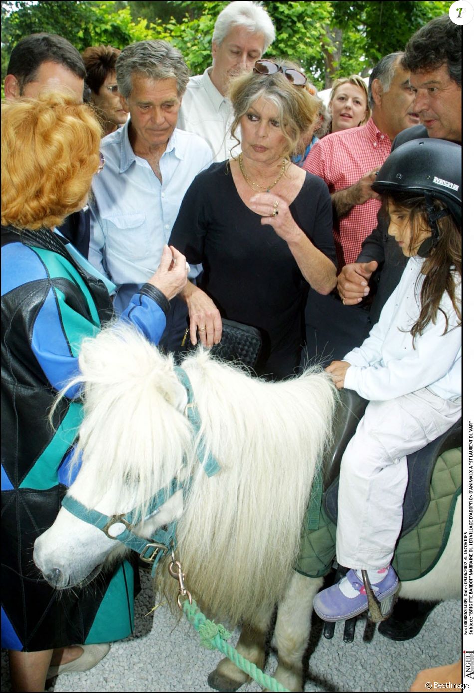 Brigitte Bardot : "J'ai envie de vomir", la star révoltée par la mort ...